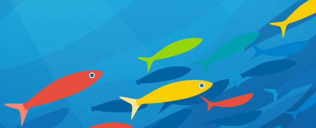 IDA-2 in the Spotlight at 2019 Zero to Three Conference – The IDA Institute